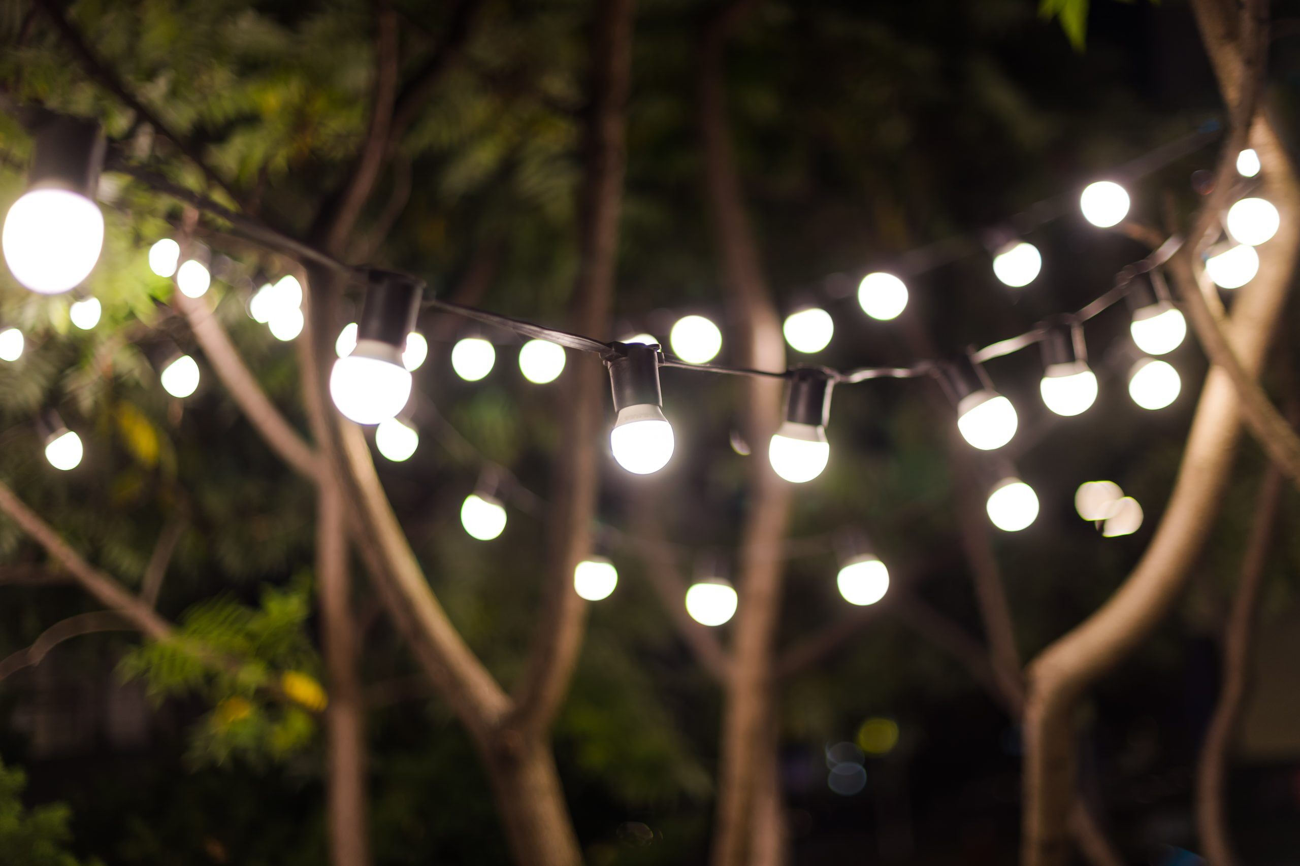 How a Solar Flower Can Help You Go Off-Grid
